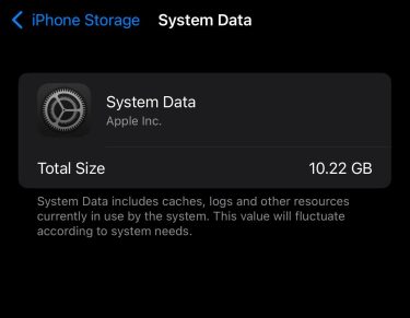 How to Clear System Data on iPhone | Quick Solutions & Tips