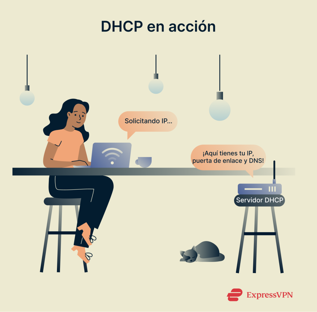 Qué es DHCP y por qué se utiliza | ExpressVPN