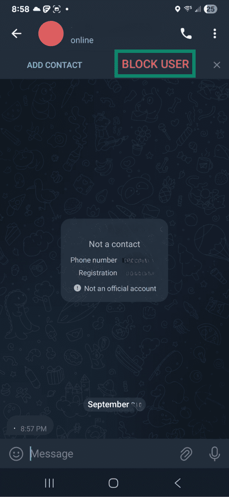 13 most common Telegram scams, and how to stay safe