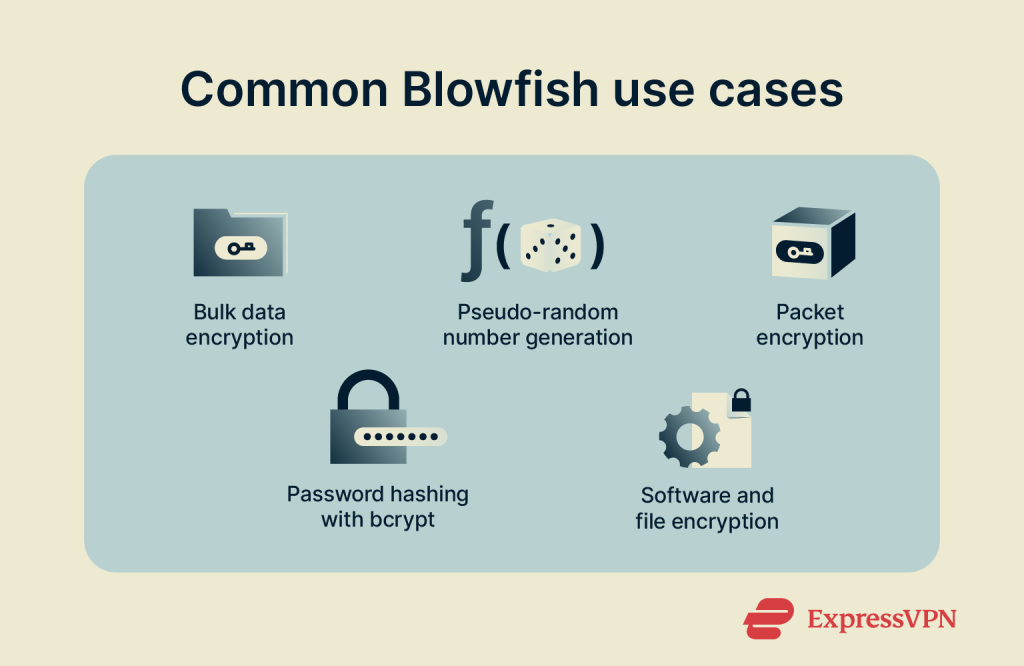 What is Blowfish encryption? How it works and why it still matters