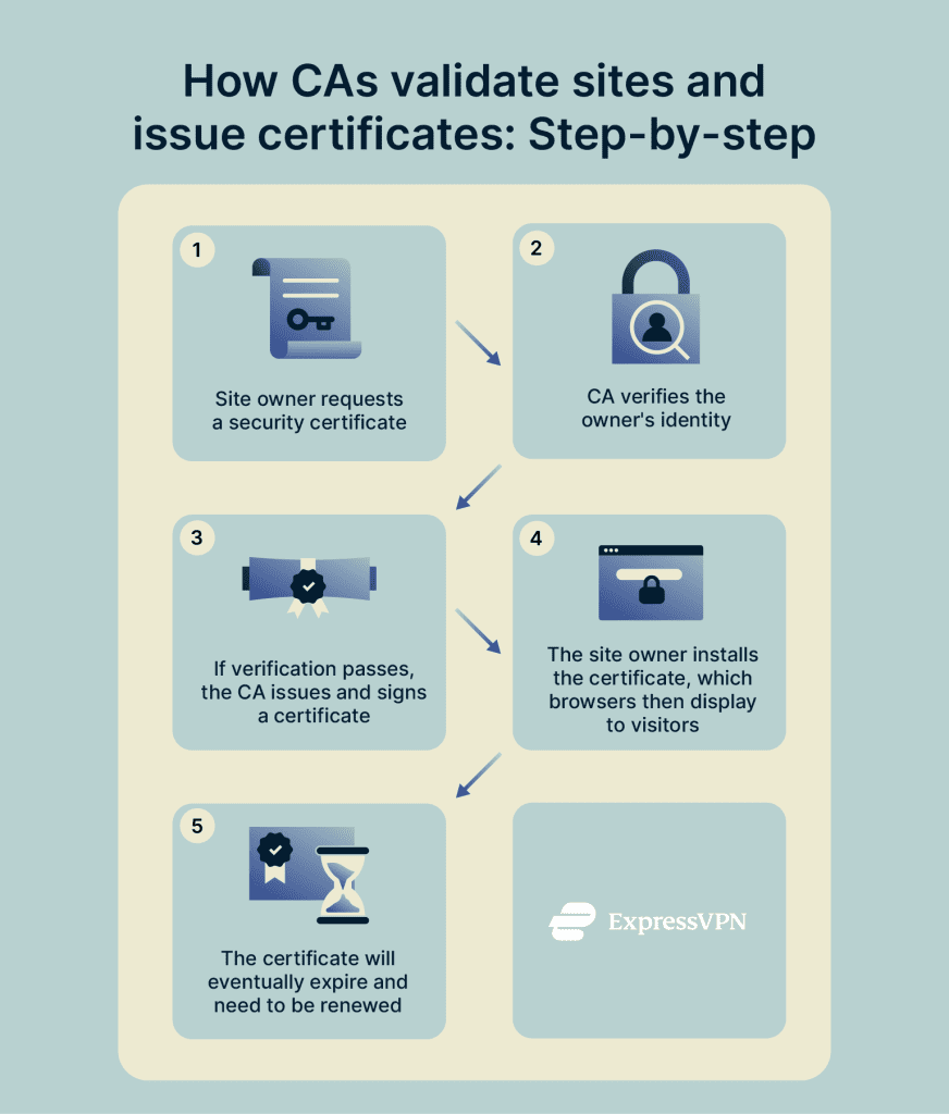 Certificate authority explained: Role, trust, and how to choose