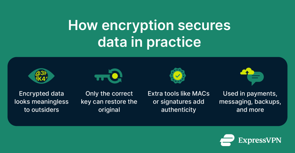 What is data encryption? How it works and why it matters