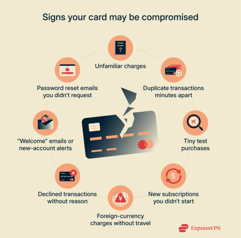What is credit card fraud? Signs, types, and how to stop it