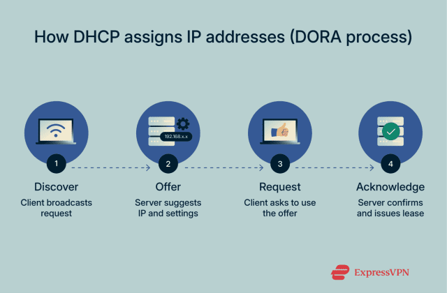 DHCP vs. DNS: Understanding key differences | ExpressVPN