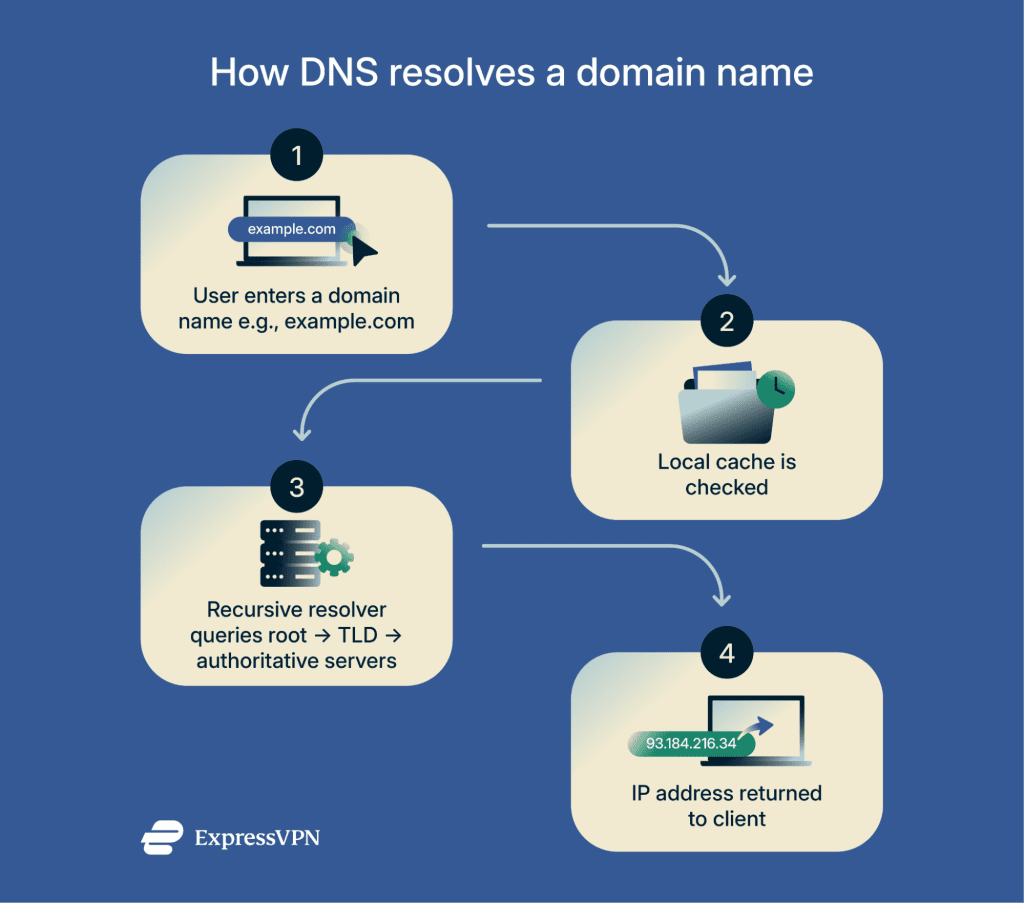 DHCP vs. DNS: Understanding key differences | ExpressVPN