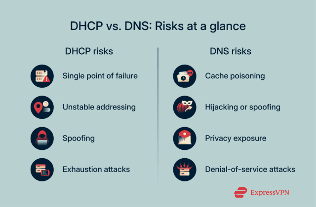 DHCP vs. DNS: Understanding key differences | ExpressVPN