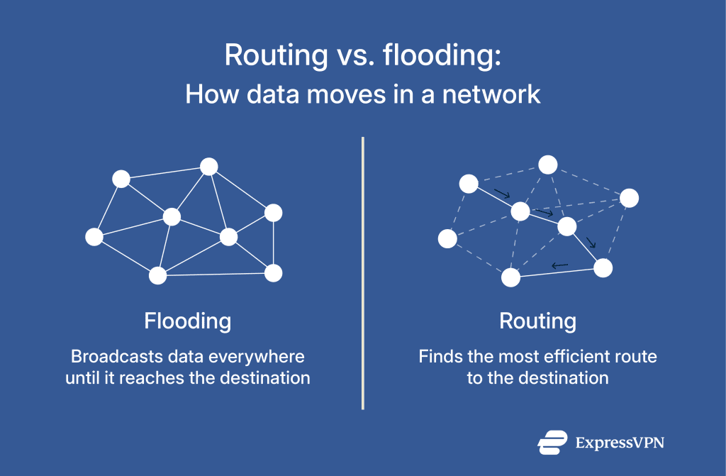 What is a mesh network and how does it work? | ExpressVPN