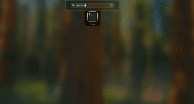 How to ping an IP address