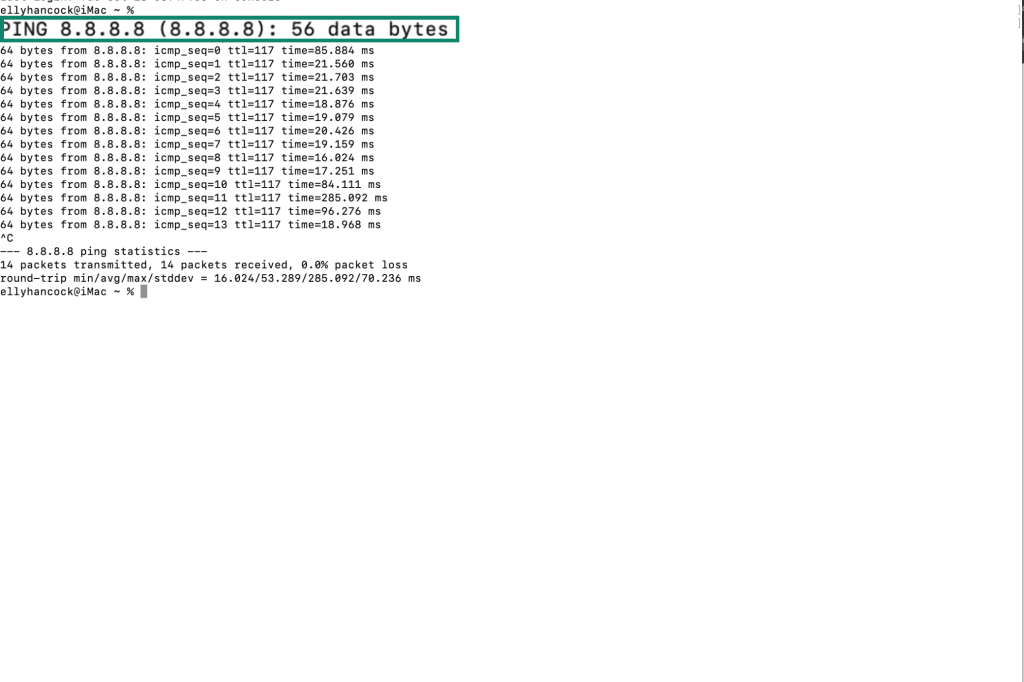 How to ping an IP address