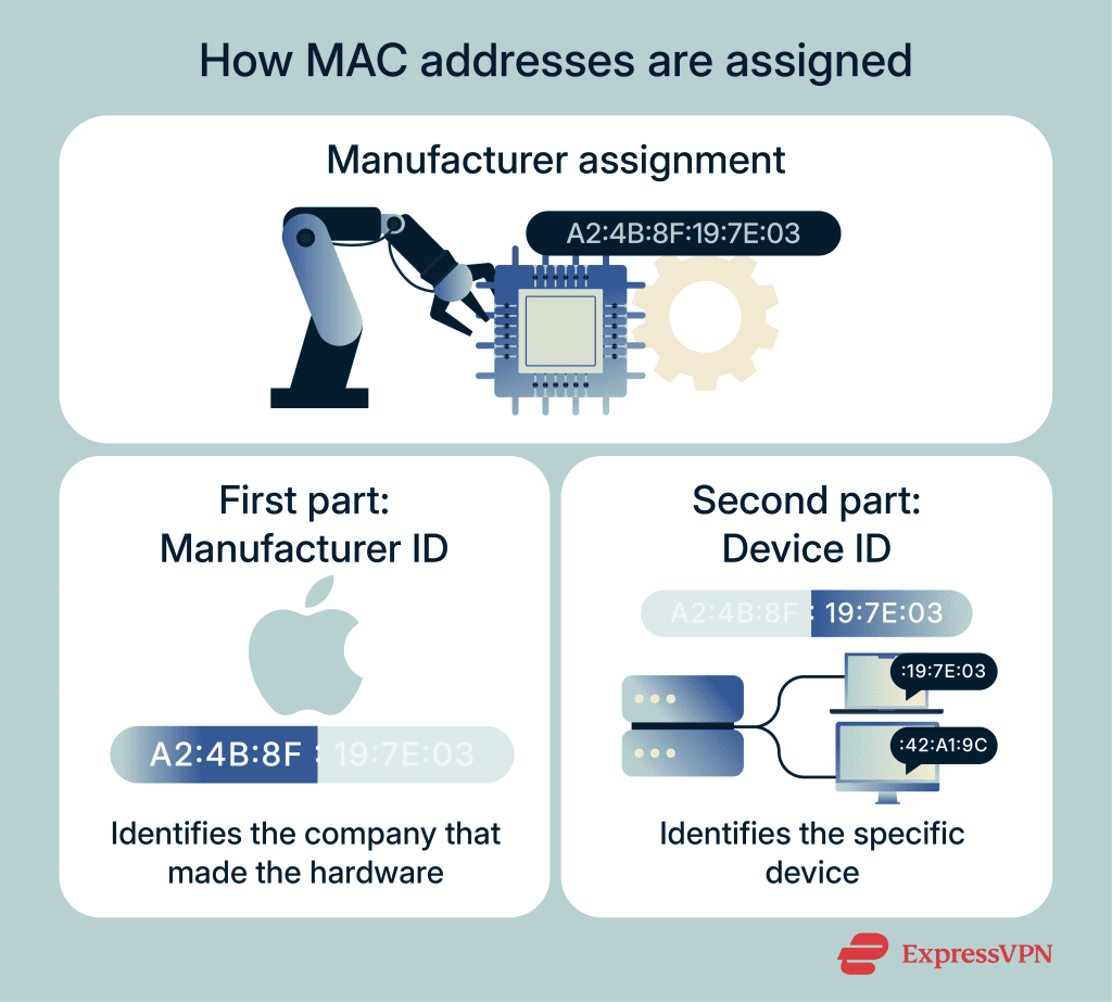 What is a MAC address and why it matters for your privacy
