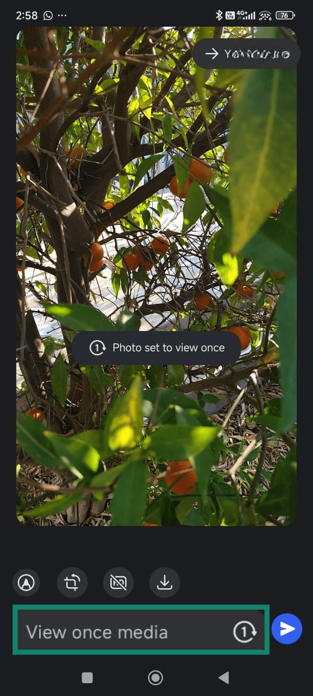 What is the Signal app? A secure messaging tool for your privacy