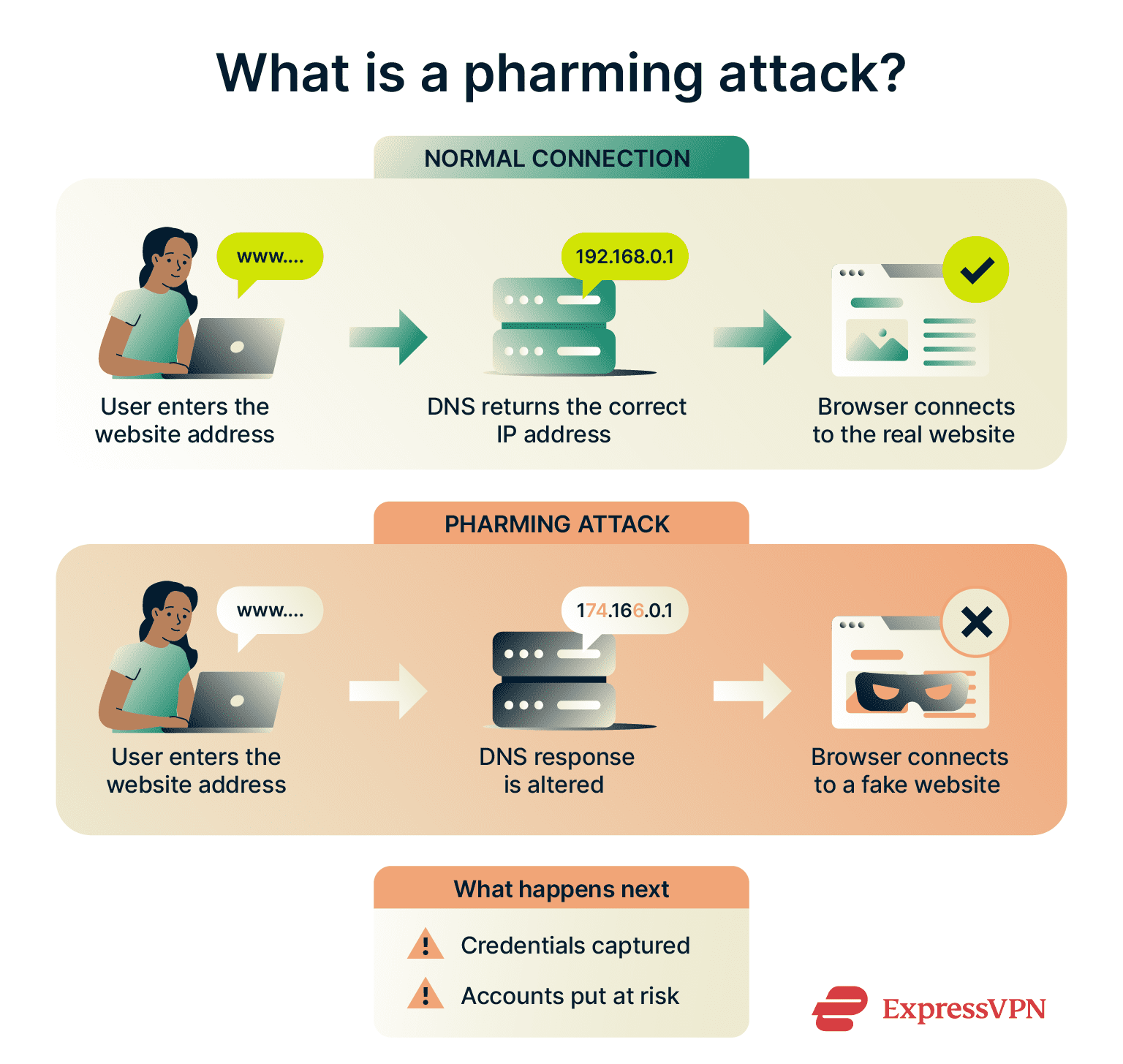 Pharming vs. phishing: Key differences and how to stay safe