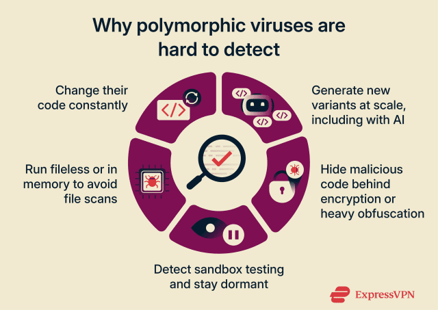 What makes polymorphic viruses so hard to detect?