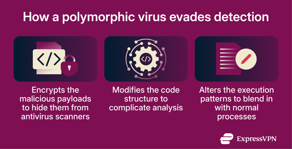 What makes polymorphic viruses so hard to detect?