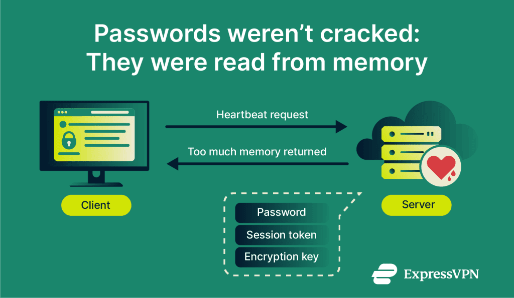 Heartbleed bug: What it is and how to stay safe