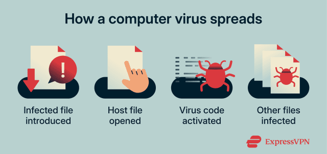 Malware vs virus: Key differences explained