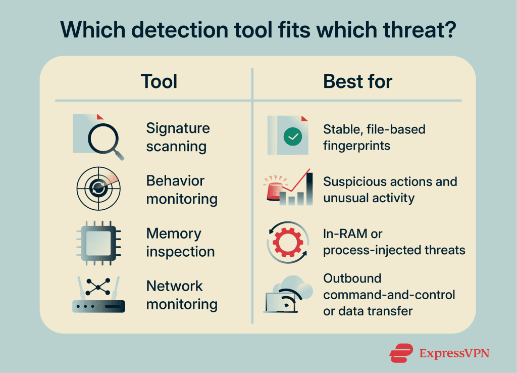 Malware vs virus: Key differences explained