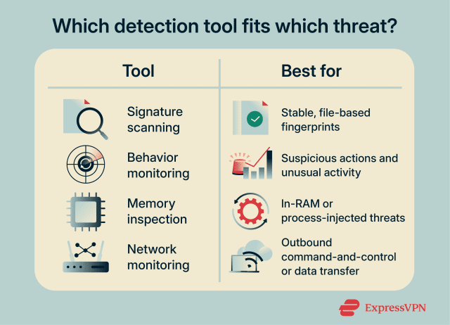 Malware vs virus: Key differences explained