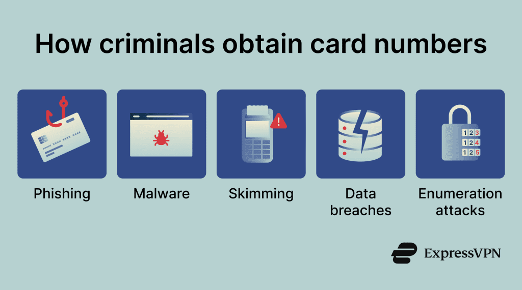 What is carding? Payment card fraud explained and prevention