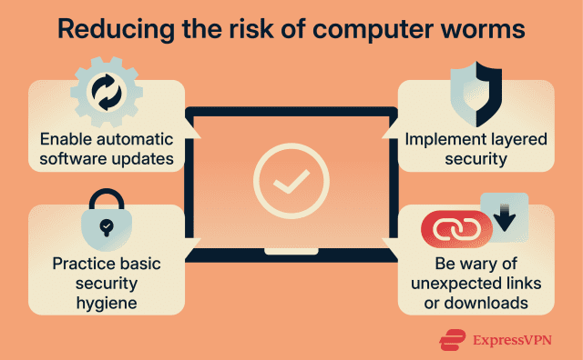 What is a computer worm? Examples and prevention