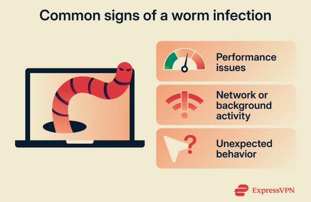 What is a computer worm? Examples and prevention