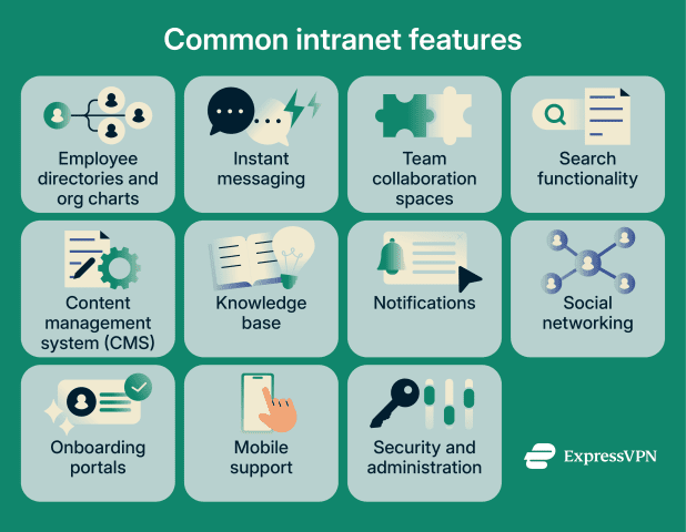 What is an intranet? Key insights and advantages explained